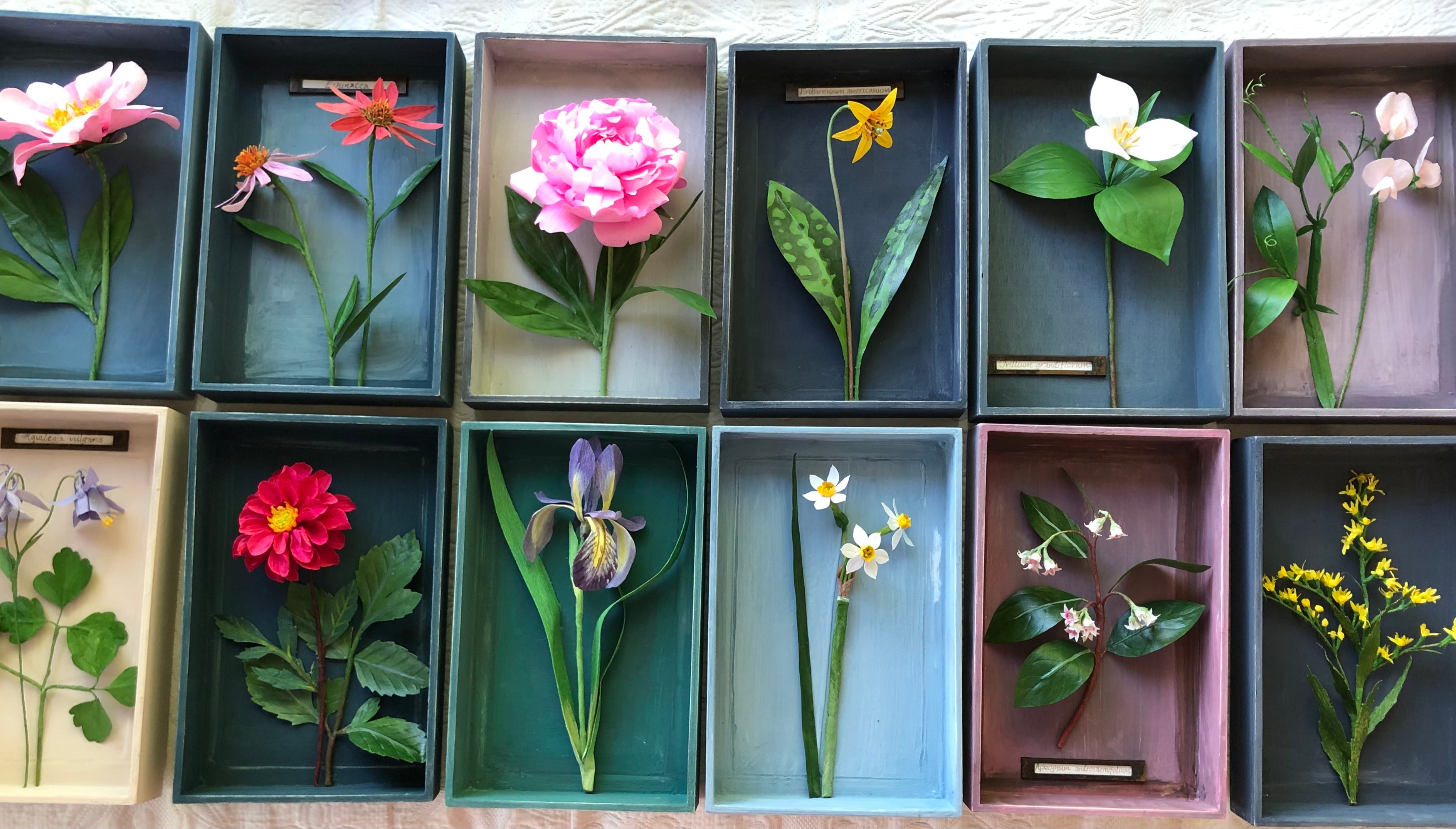 Daydream Flowers | Handmade Paper Botanicals