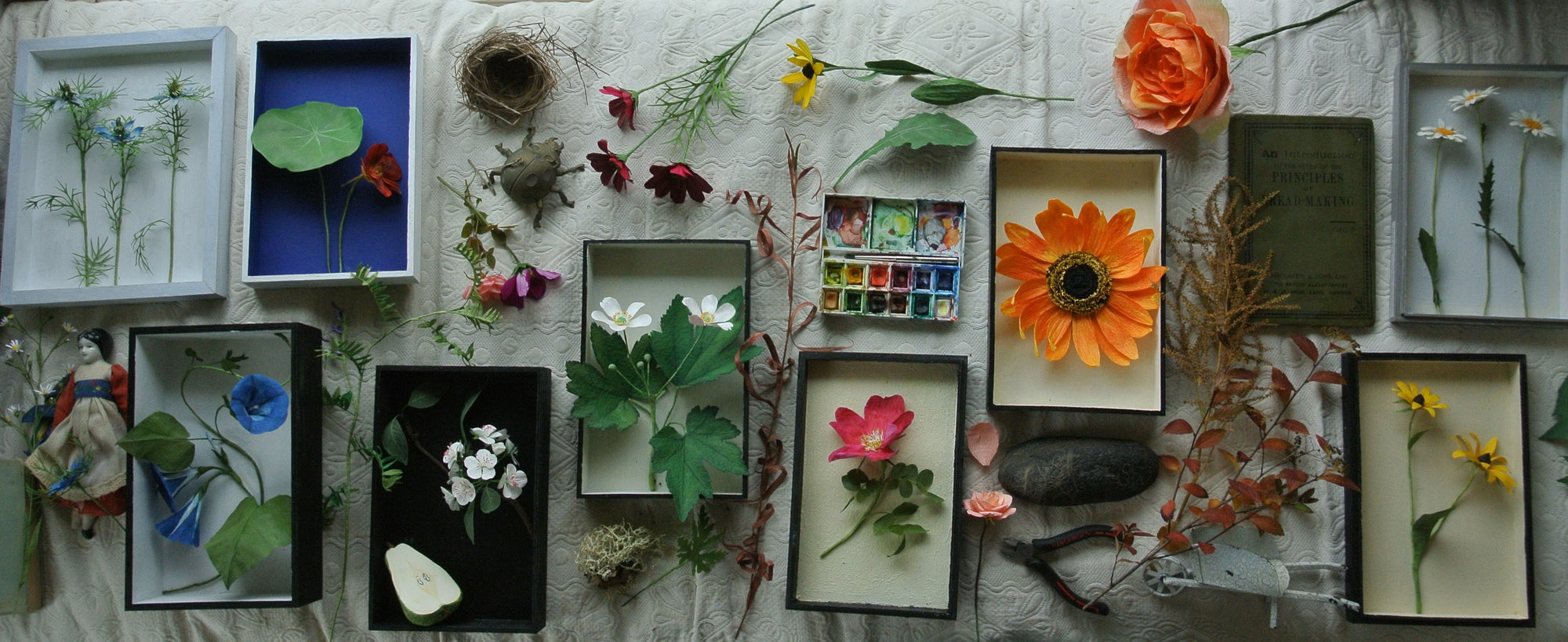 Daydream Flowers | Handmade Paper Botanicals