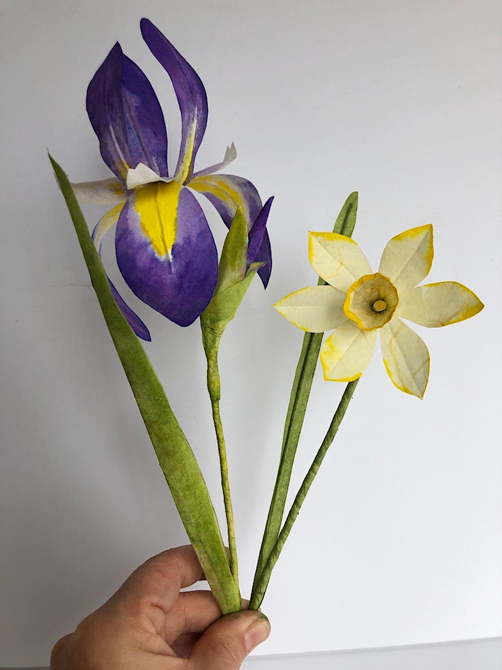 Daydream Flowers | Handmade Paper Botanicals